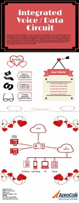 Integrated Voice / Data Circuit [Infographic]
