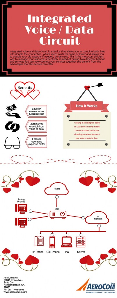 Integrated Voice / Data Circuit [Infographic]