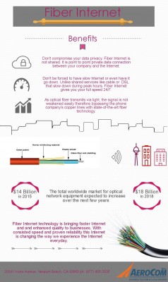 Fiber Internet [INFOGRAPHIC]